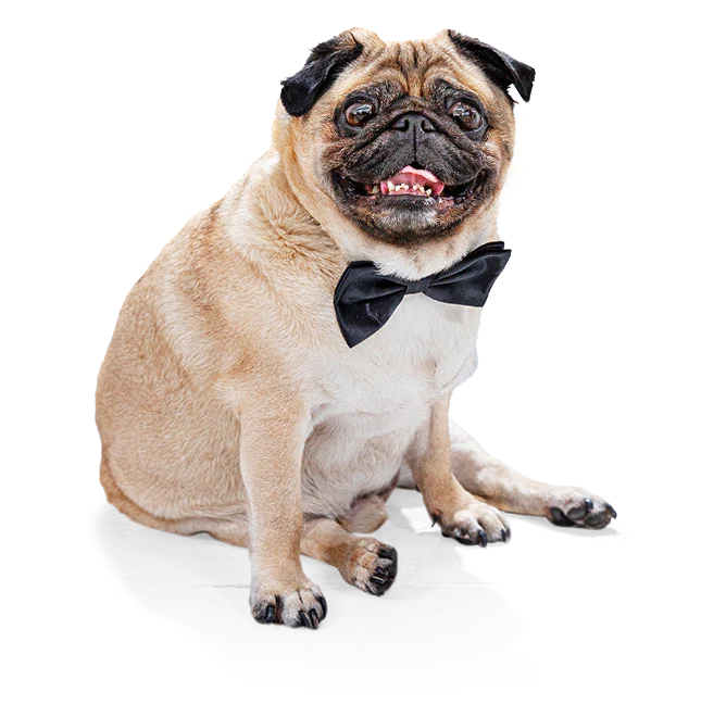 Puff Superbrand - ¡más De 500,000 Vendidos! Sillas Puff y Puffs Gig ...